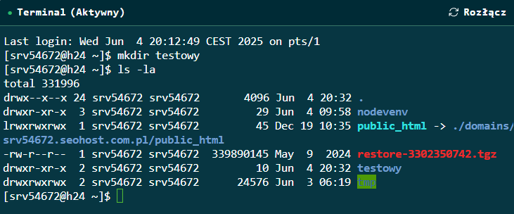 Jak używać terminala SSH w DirectAdmin?